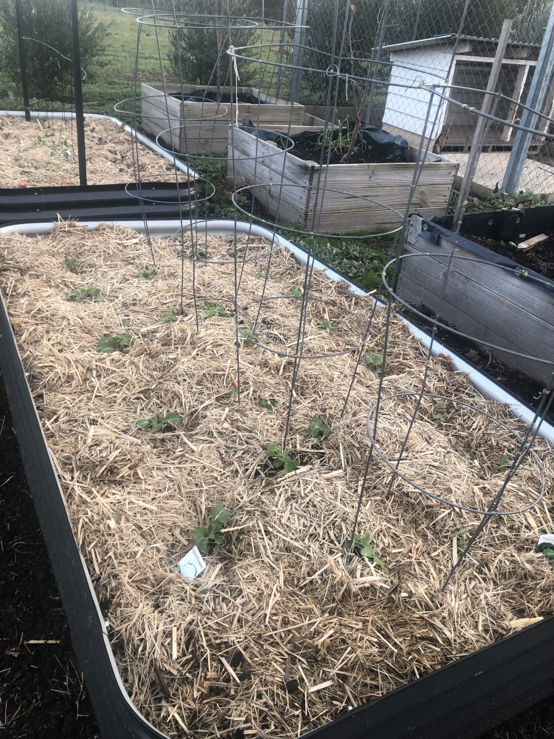 GREETINGS FROM GREATRAKES | The home of Mark and Vanessa Greatorex