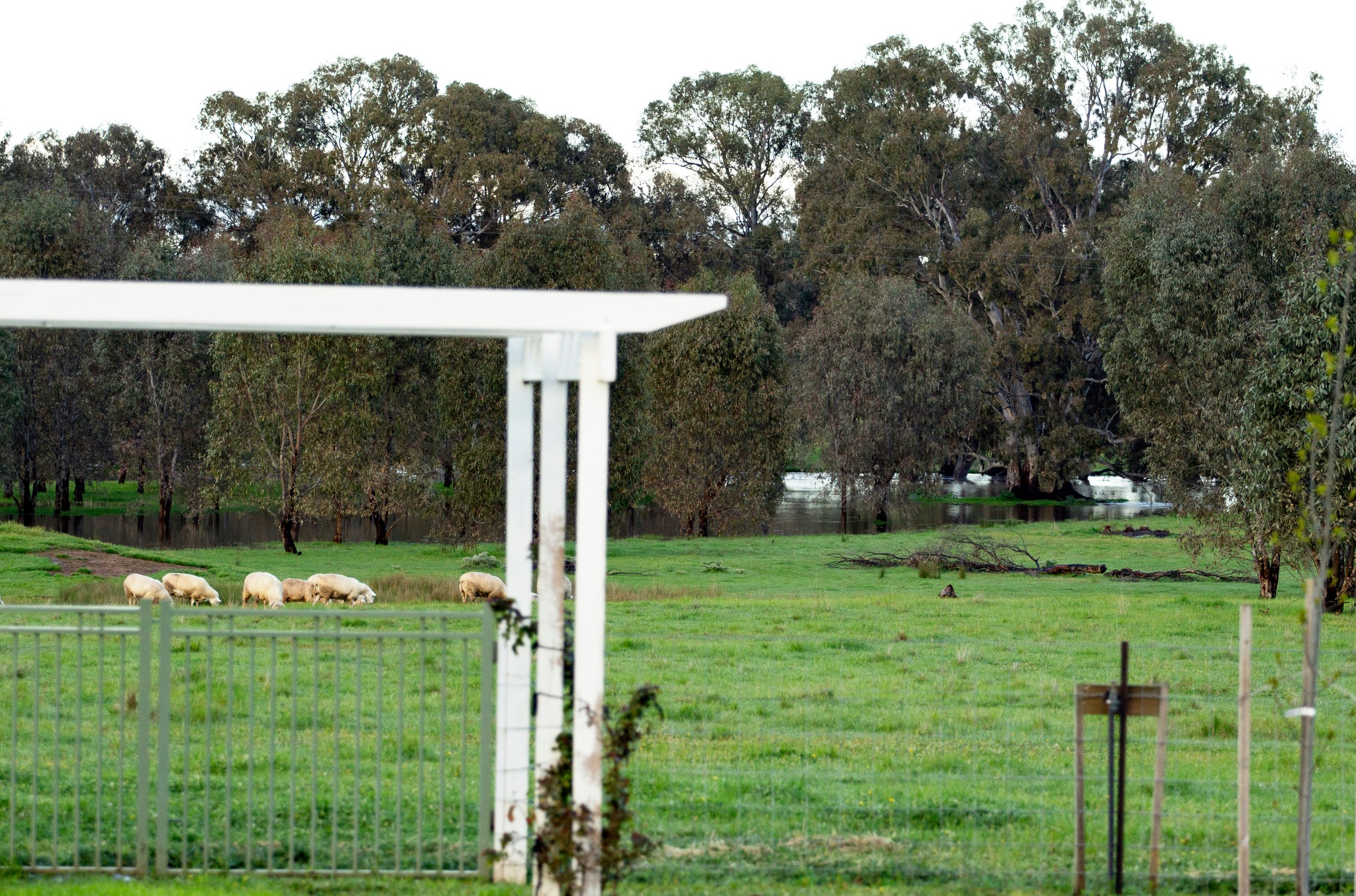 GREETINGS FROM GREATRAKES | The home of Mark and Vanessa Greatorex