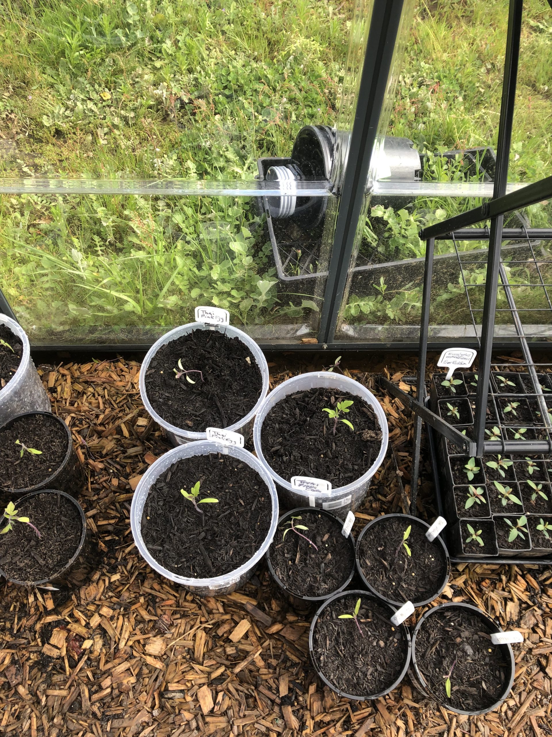 GREETINGS FROM GREATRAKES | The home of Mark and Vanessa Greatorex