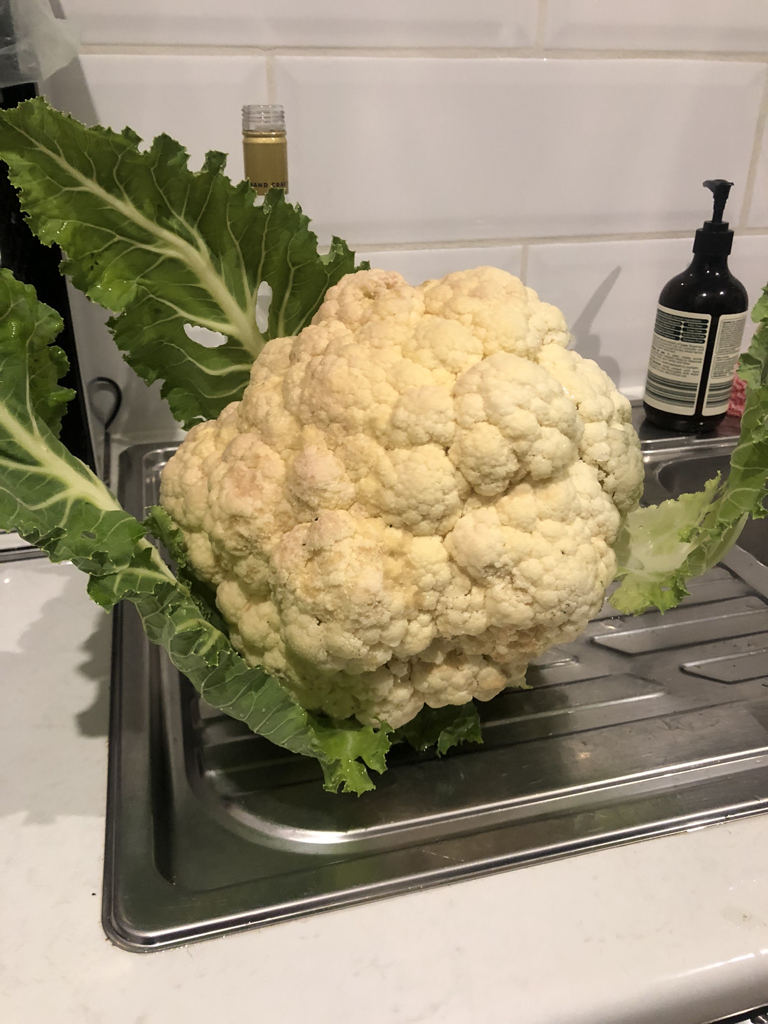 GREETINGS FROM GREATRAKES | The home of Mark and Vanessa Greatorex